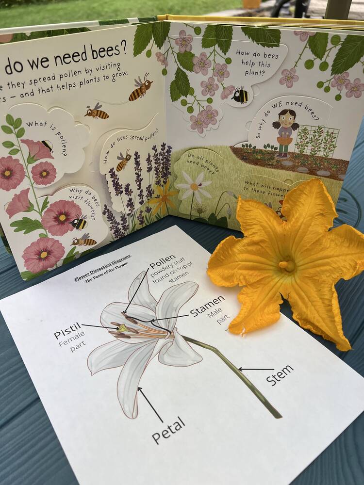 Learn About the Wonders of Fall with Winnie-the-Pooh