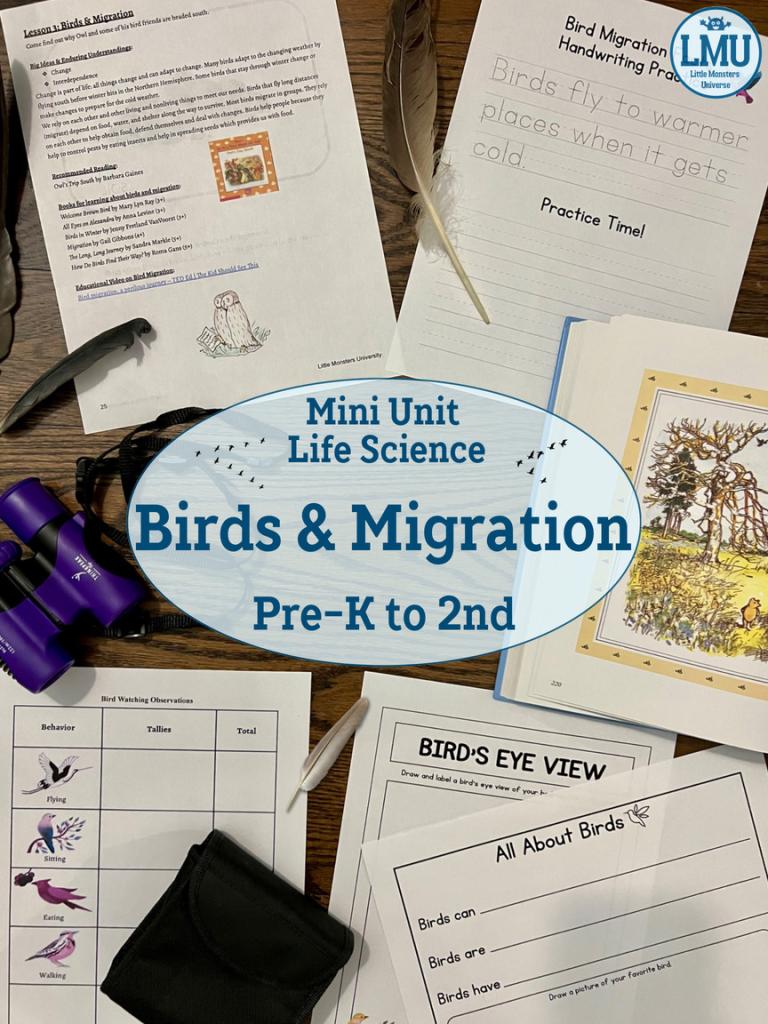 Homeschool Curriculum Unit on Bird Migration