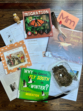Homeschool Curriculum Unit on Bird Migration
