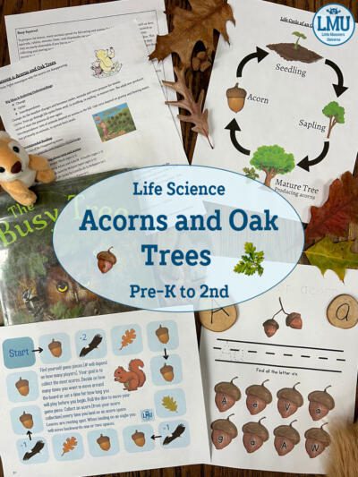 Plant Life Cycle Science Unit for Kids