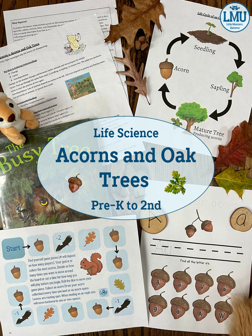 Mini Homeschool Nature Unit on Tree Lifecycle