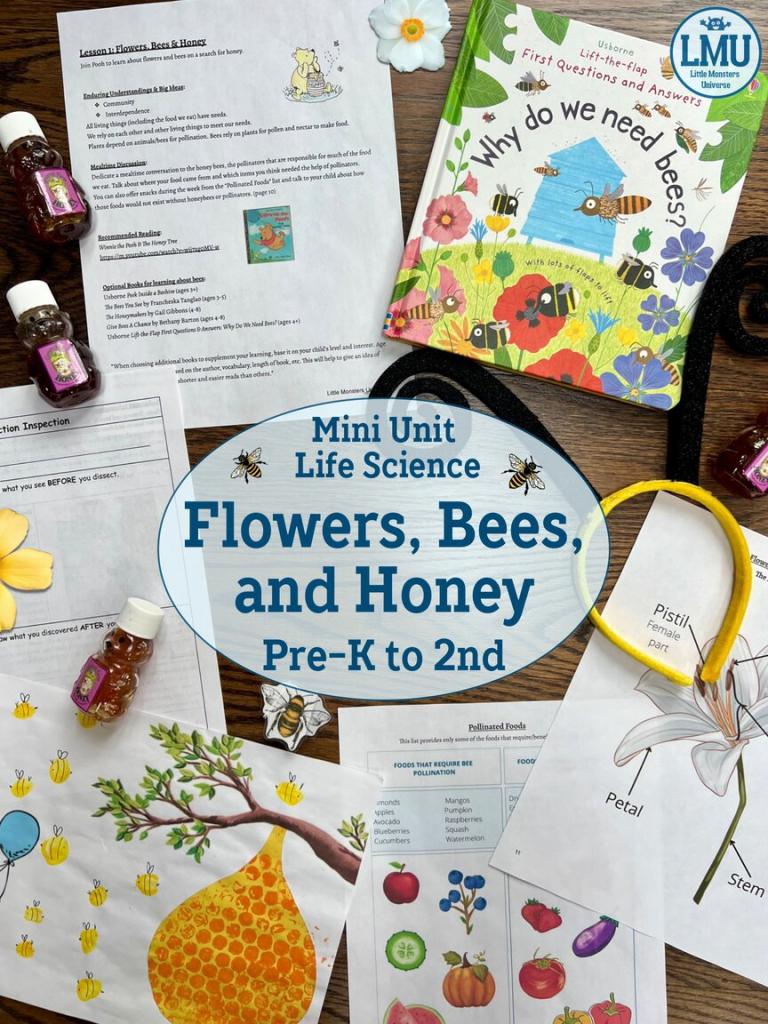 A Mini Science Unit on Nature: Flowers, Bees and Honey