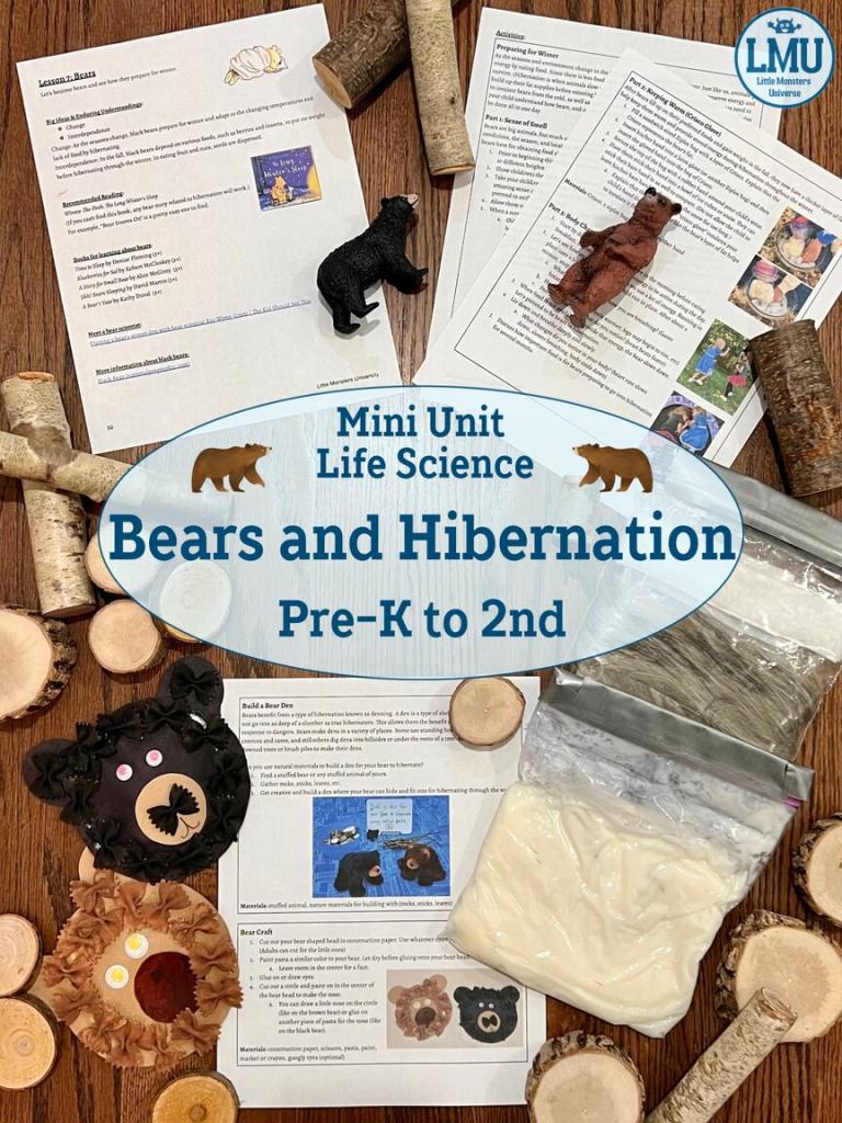 Mini Homeschool Unit on Bears & Hibernation (PreK to 2nd Grade)