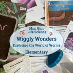 Mini Unit for Exploring the World of Worms (K to 2nd Grade)