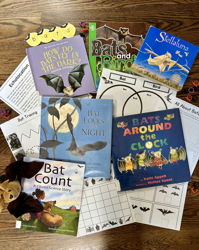 Bats Mini Unit: Educational Exploration for Elementary Students