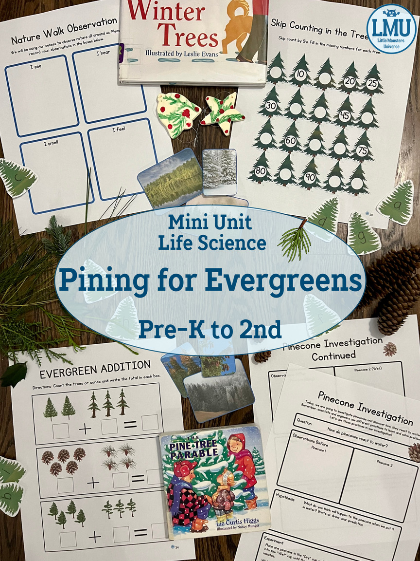 Exploring Evergreens: Science Unit for Homeschooling Families