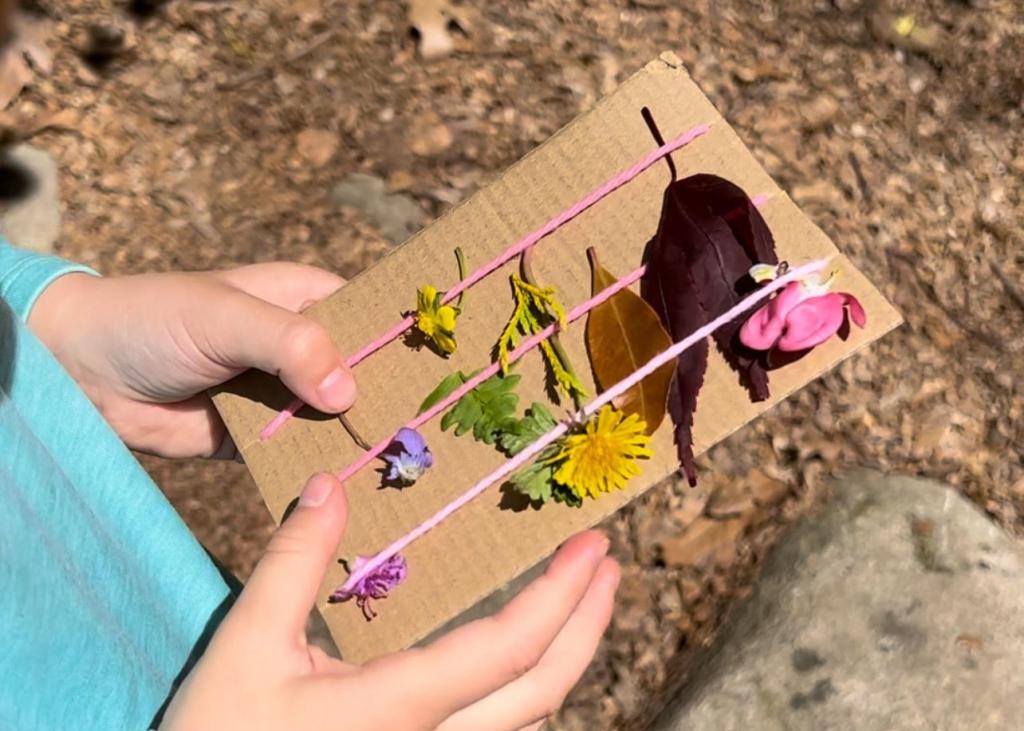 Easy Outdoor Science Activities for Homeschool