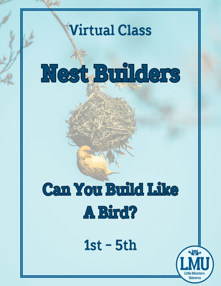 Nest Builders: A Virtual STEM Class on Birds’ Nests - Little Monsters ...